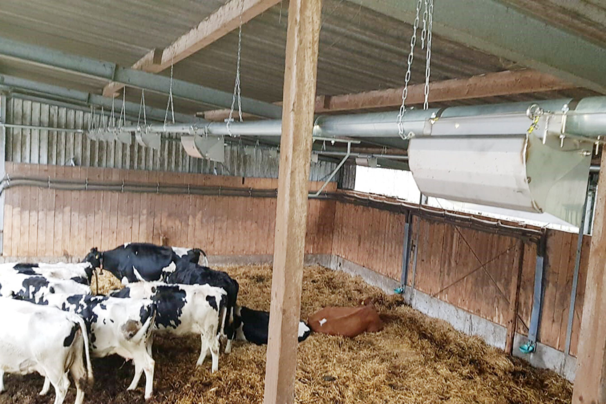 Witte tieraktiv System | Witte Lastrup